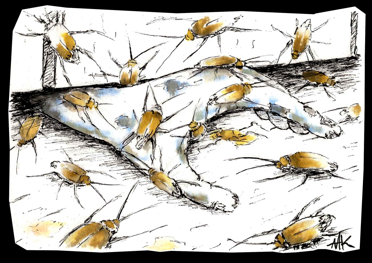 The Cockroach Man in the Darkness Lurks – Fictionspawn